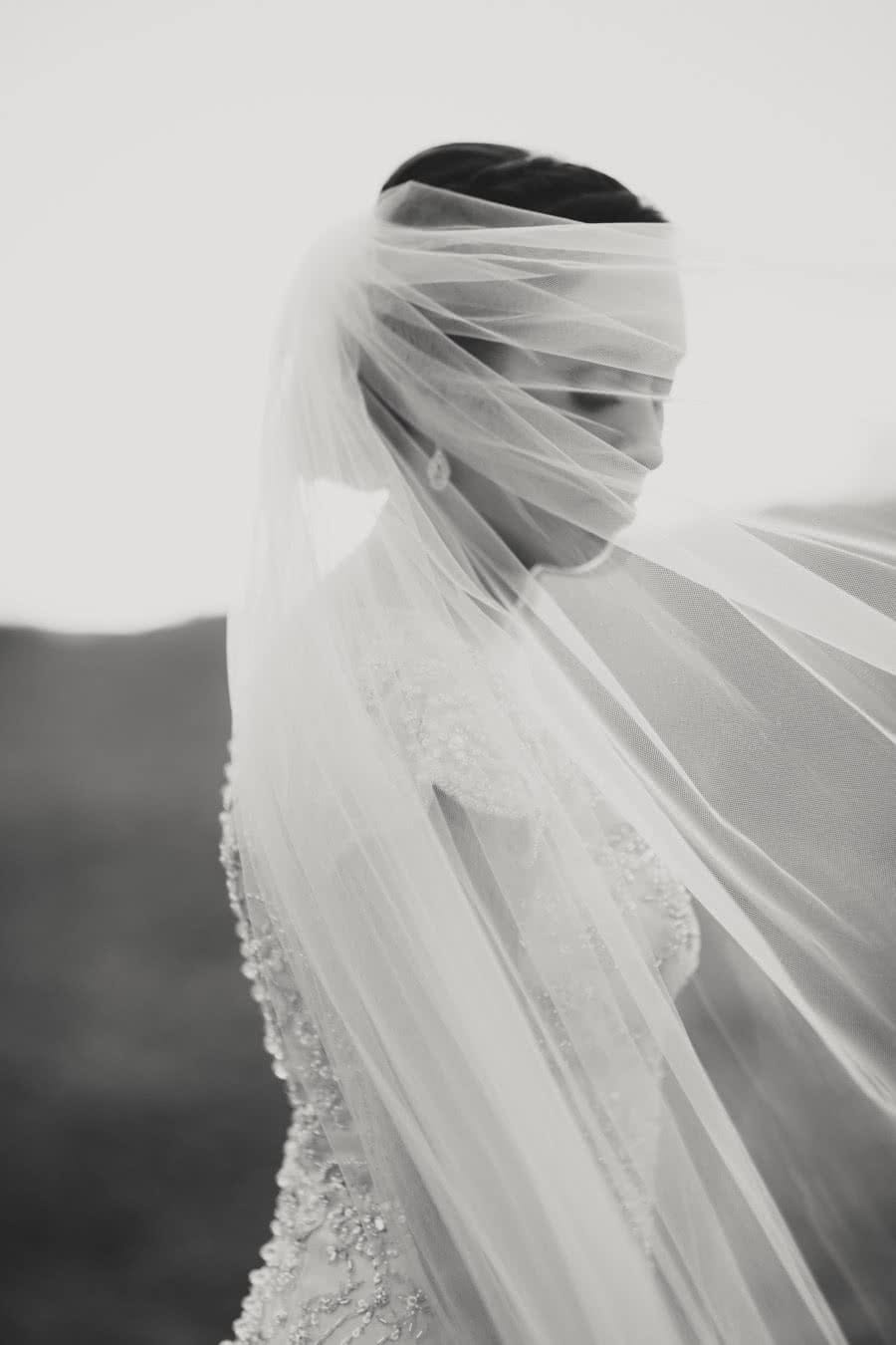 Sheena and Mark - Married at Maleny Manor - 2015 | Artography